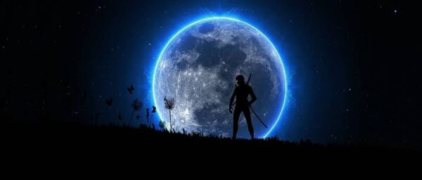 Guide to Building a Monk Way of the Open Hand: Dungeons and Dragons 5e ...