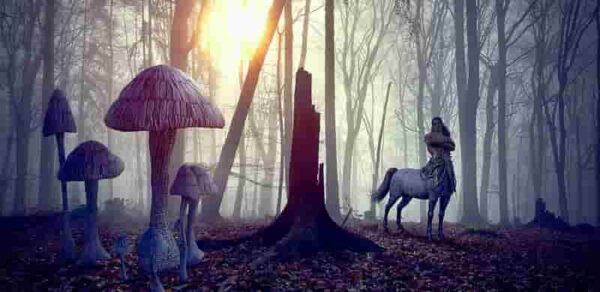Guide to Building a Centaur Character: DnD 5e - Genre Bomb